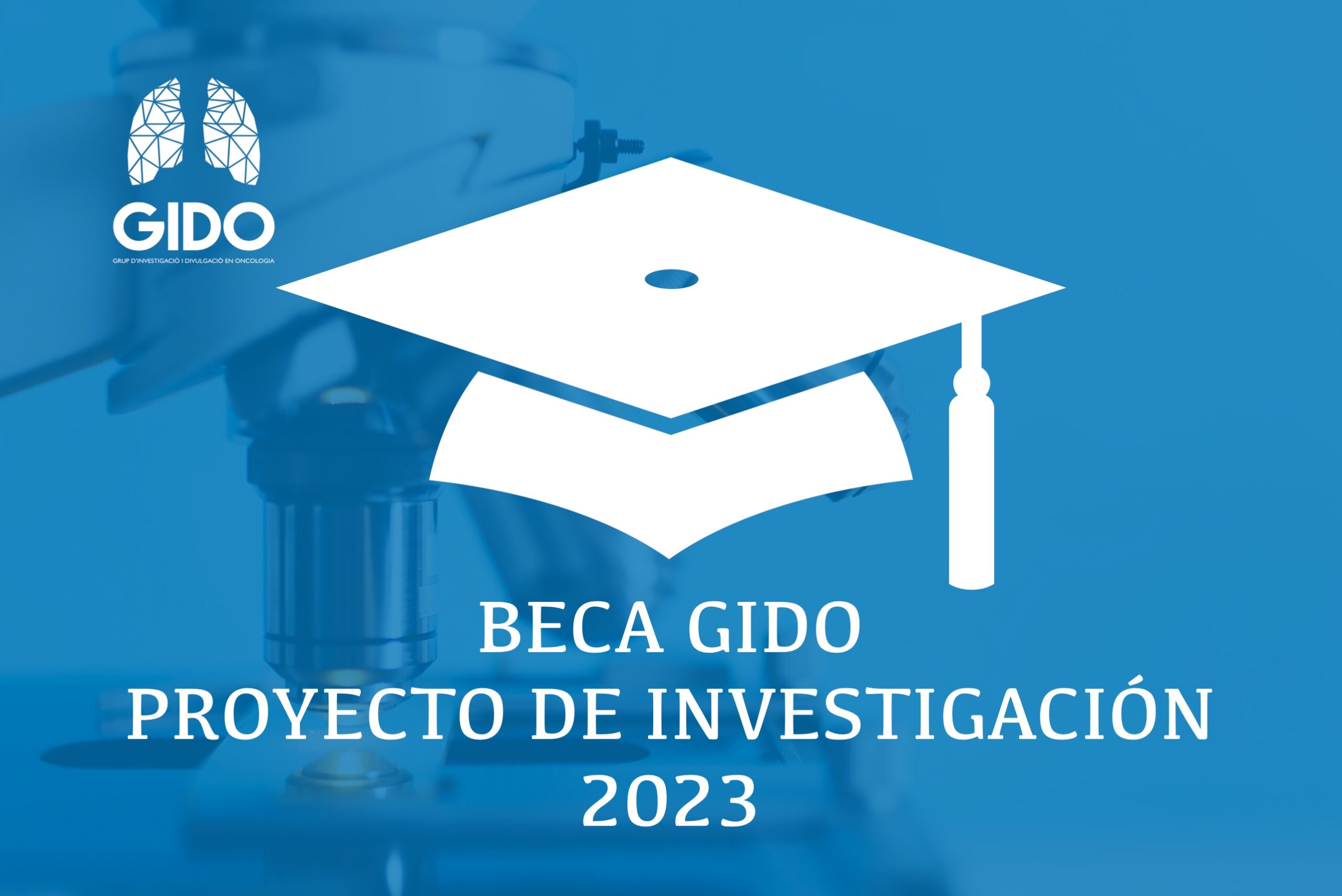 Convocatoria Beca GIDO Proyecto de Investigación 2023 - GIDO